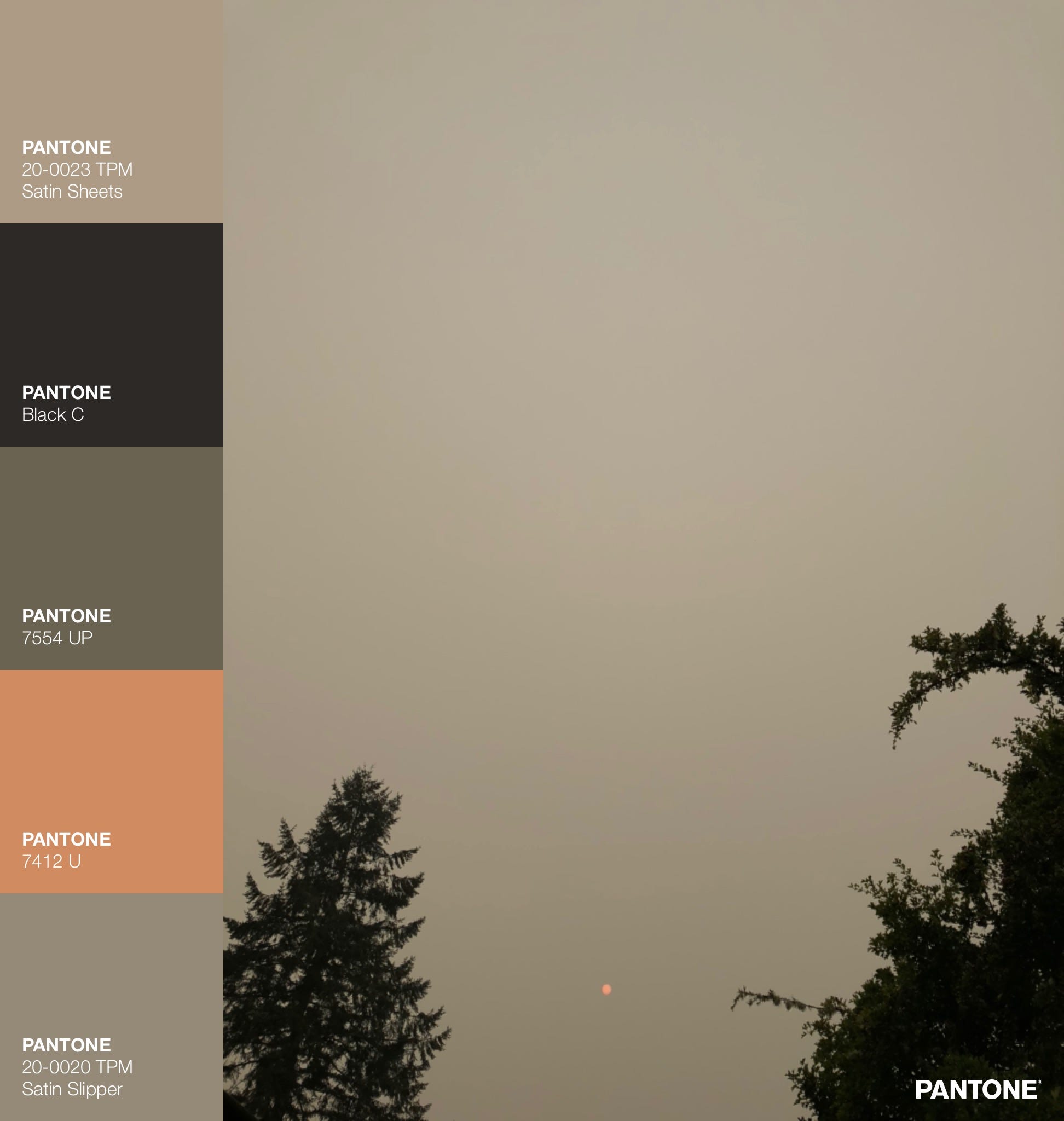 Pockets of Beauty - Creative Fuel with Anna Brones