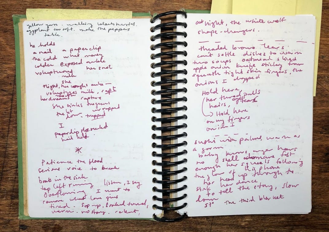 Contemporary Notes: Dr. Bronwen Tate - by Jillian Hess