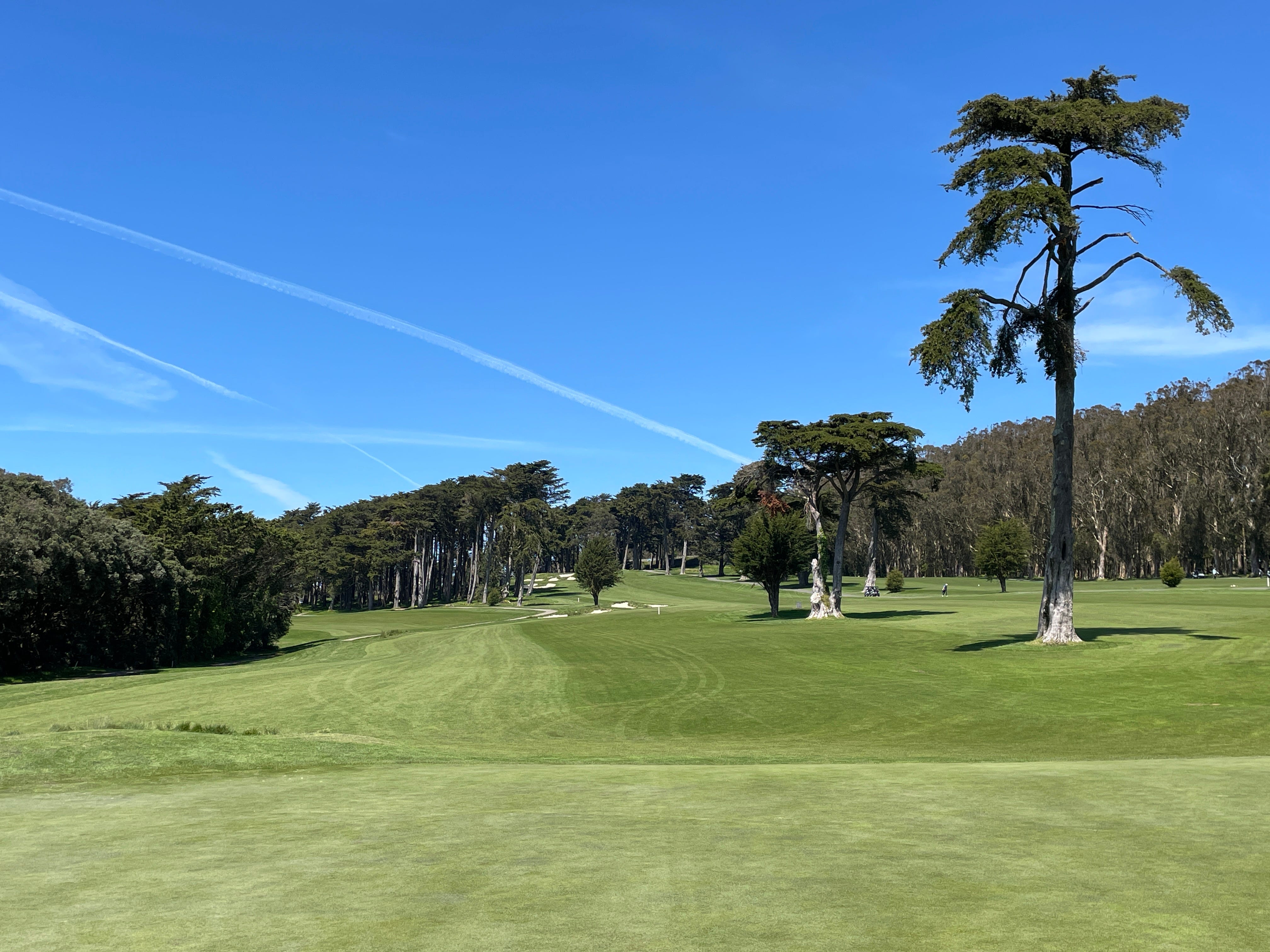 Presidio Golf Course, San Francisco - by Matthew Greber