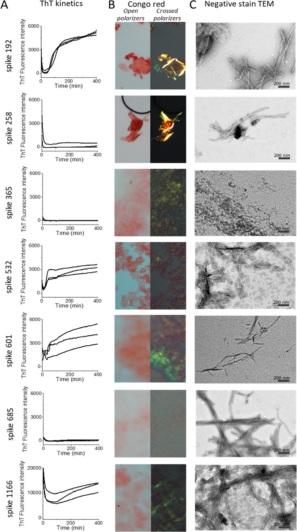 Prions: One Of These Things Is Not Like The Others