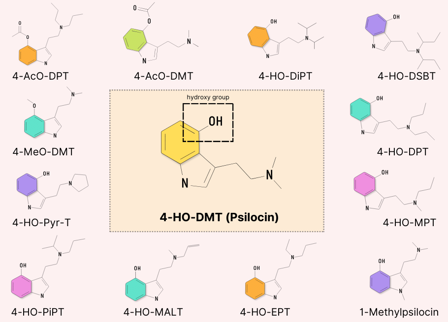 Designer Drug Exposé: Tryptamine Psychedelics