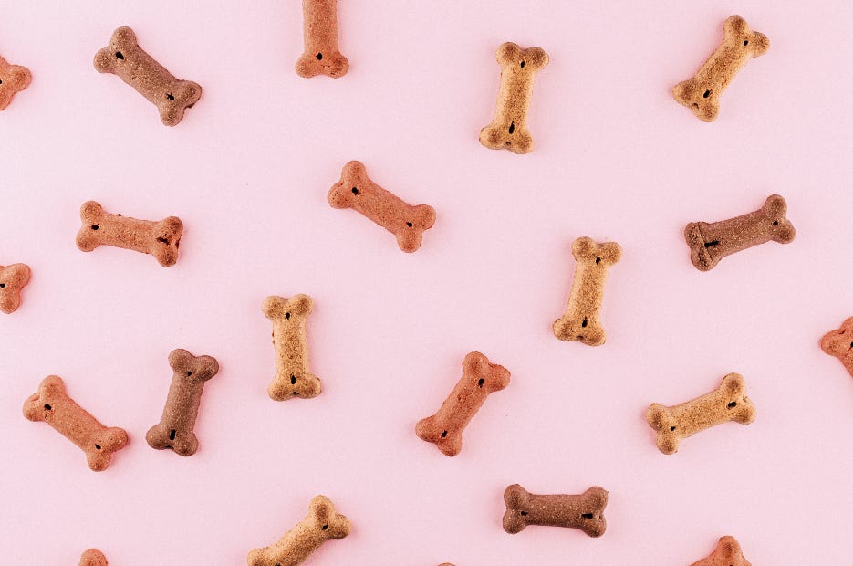 Unearthing Secrets: The Fascinating World of Bone Collectors