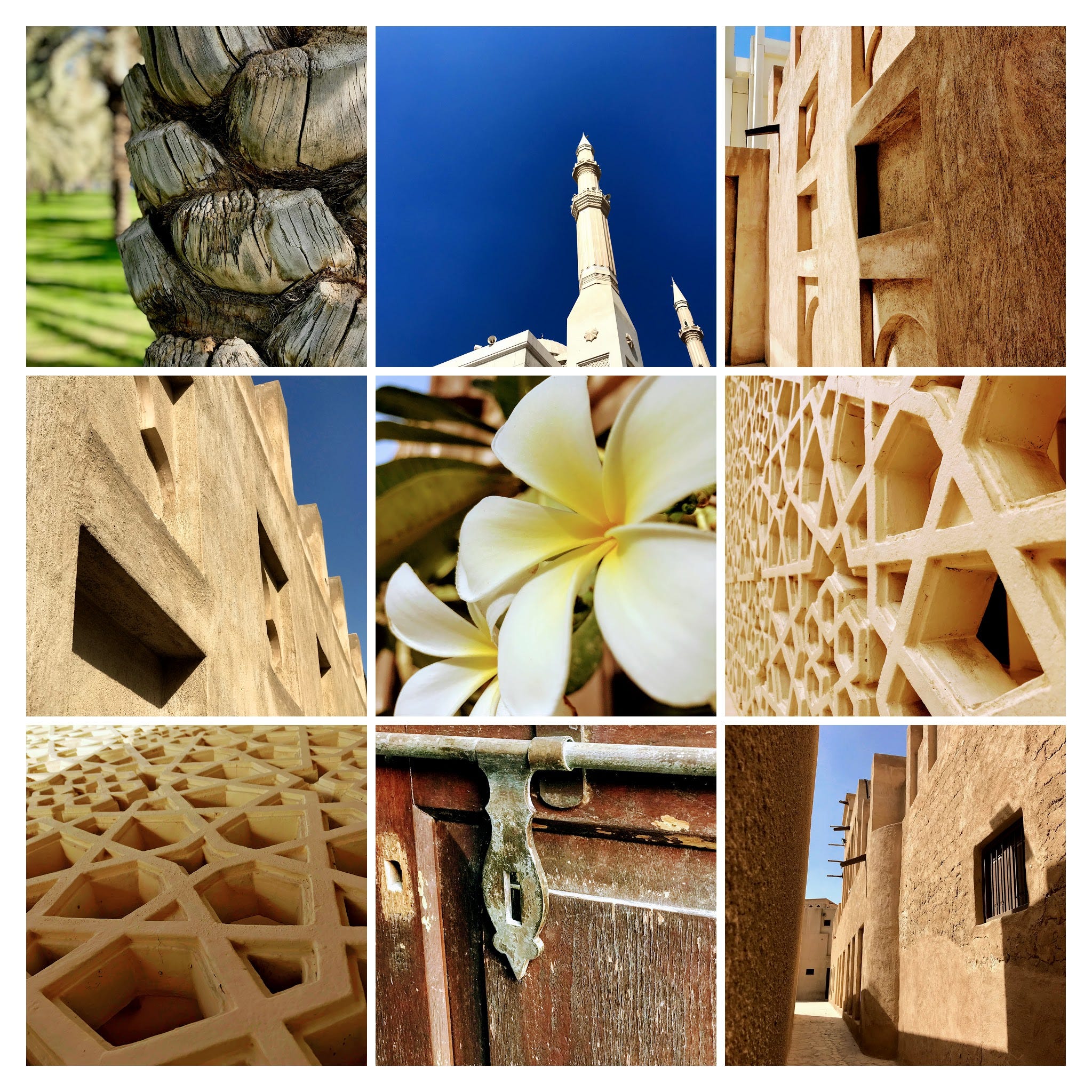 Part Four: The Light You Carry - by Todd Burleson