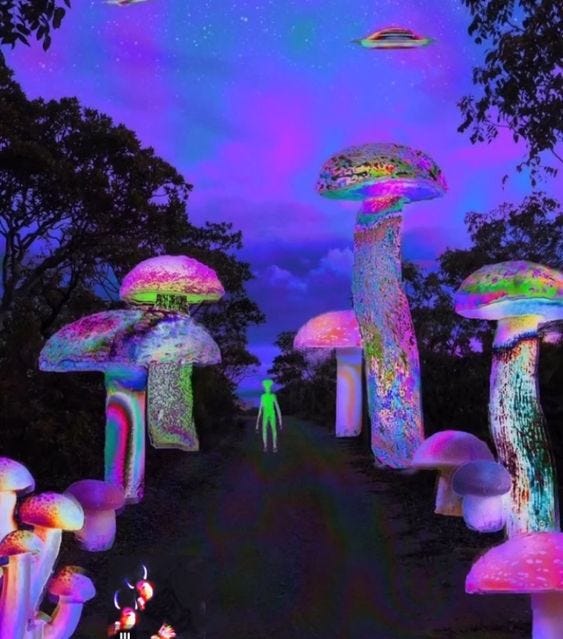 The Healing Magic of Psilocybin: A Journey Through Life, Death, and ...