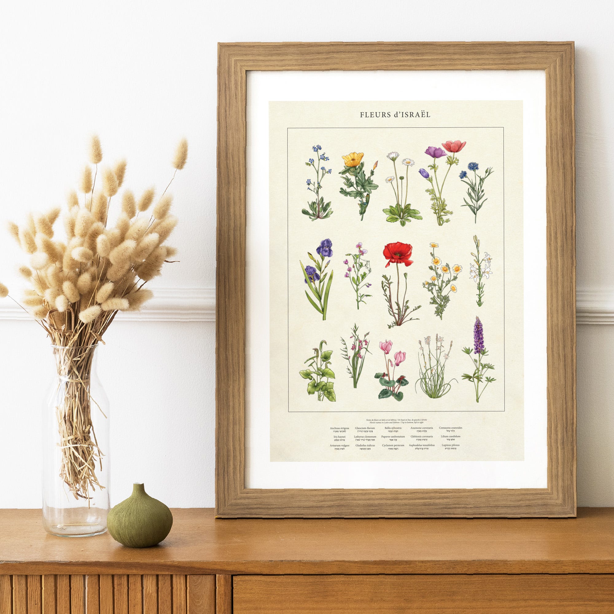 Flowers of Israel/Fleurs d'Israël Art Print