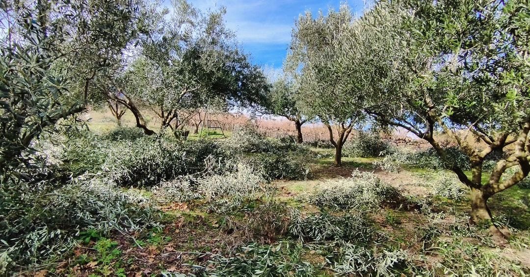 Introducing God So Loved the World