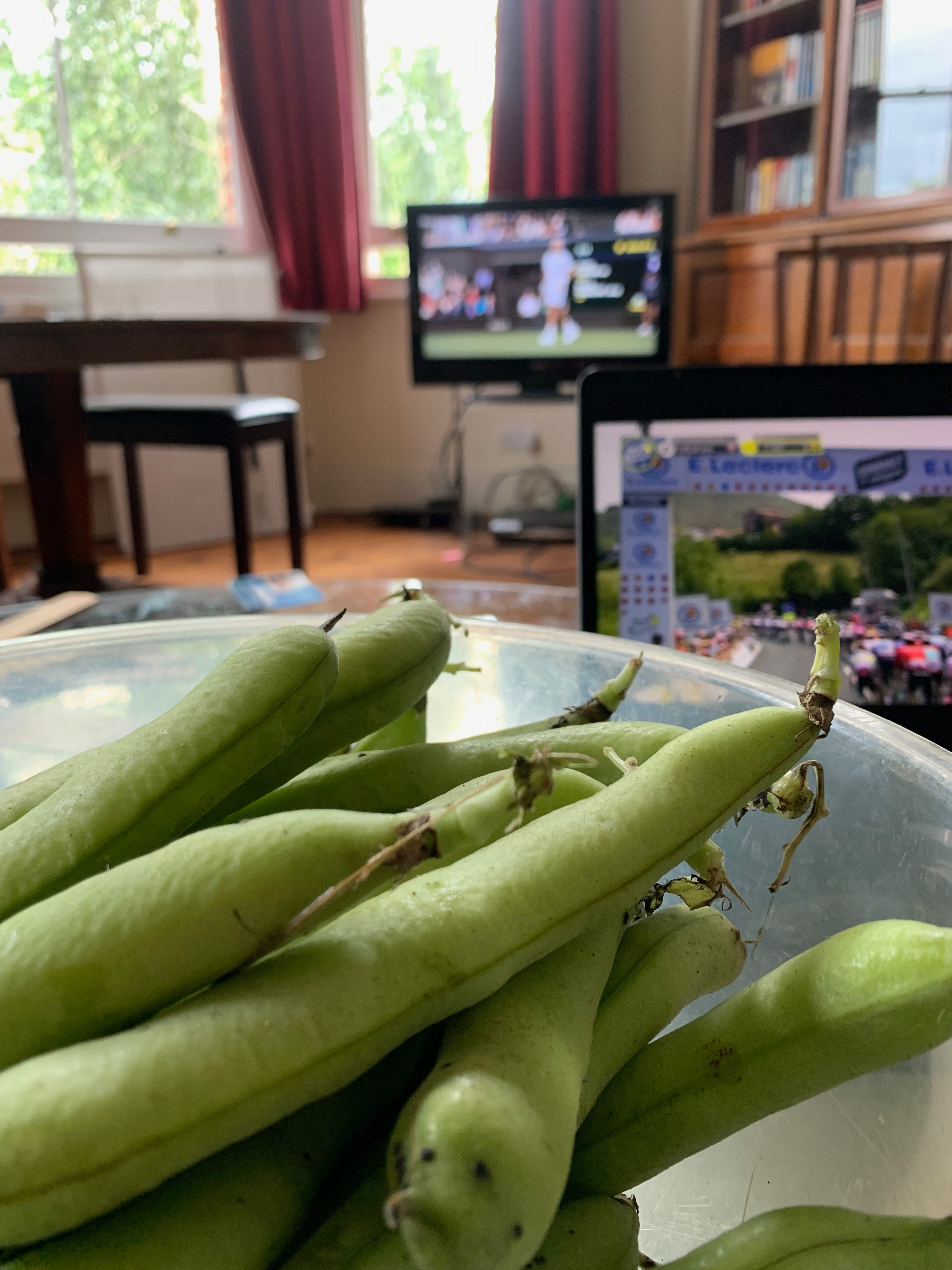 Six (Brief) Things... - by Lev Parikian - Six Things