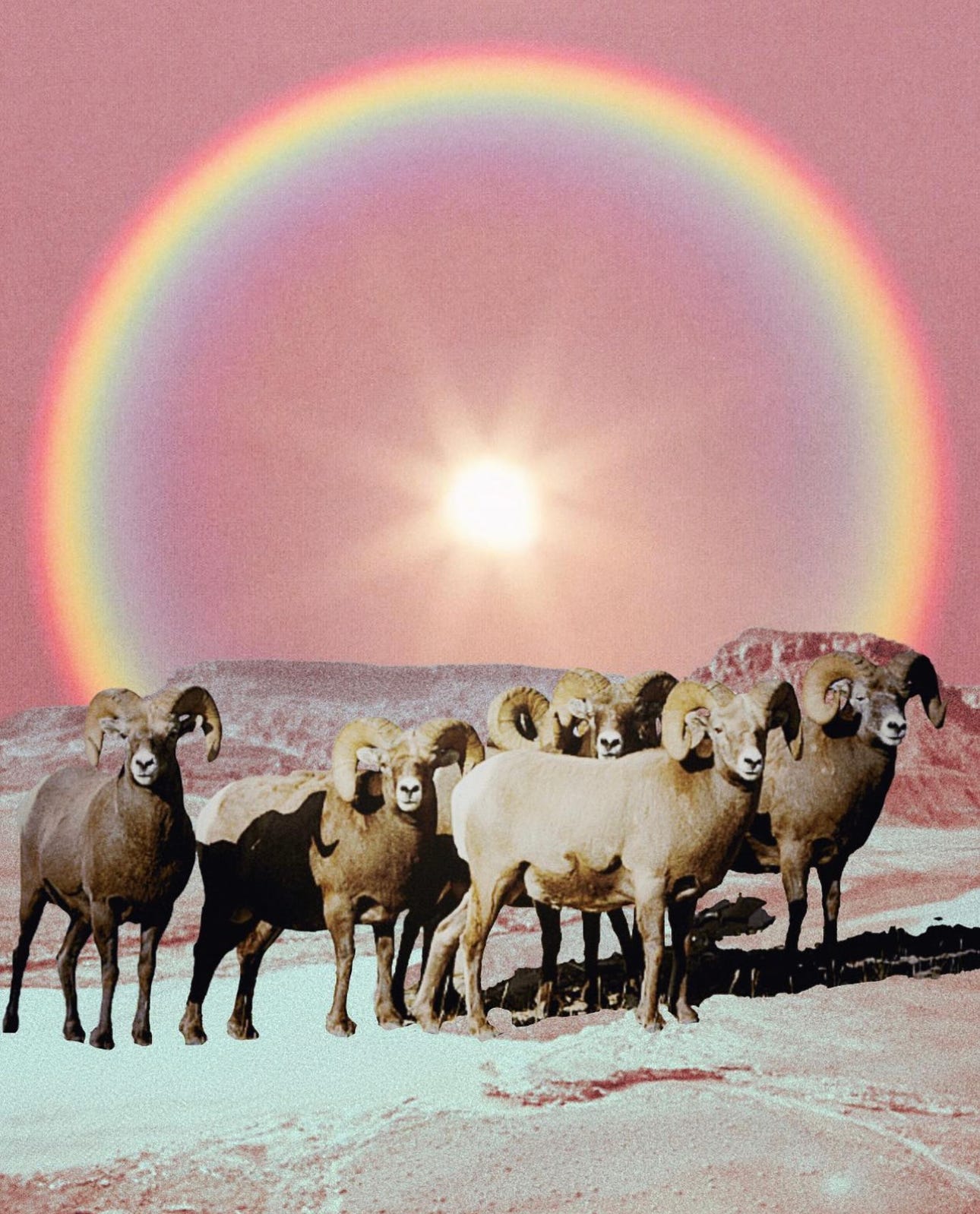 Welcome, Aries Season!