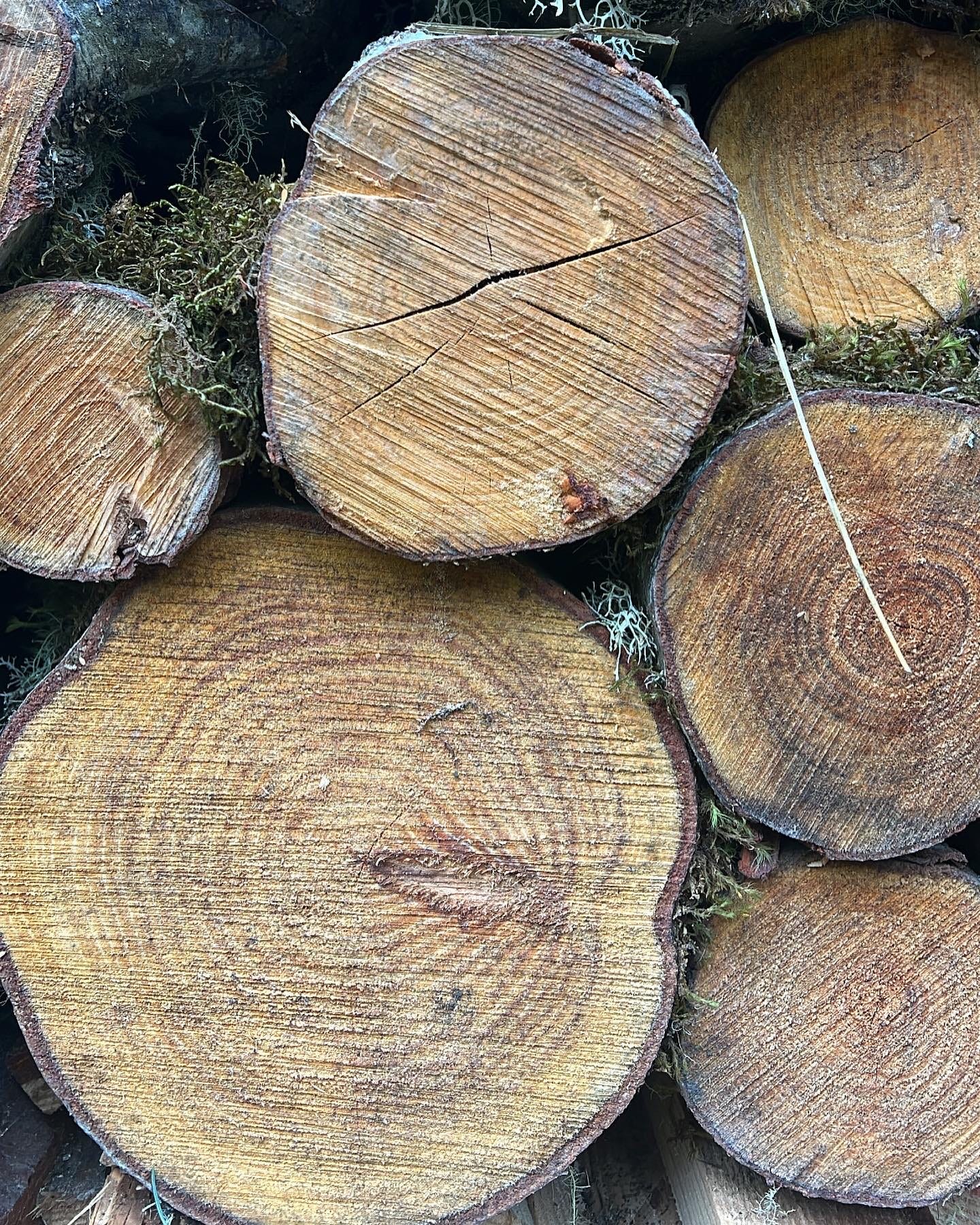 Et Cetera - by Lindsey Wayland - ALL DAY