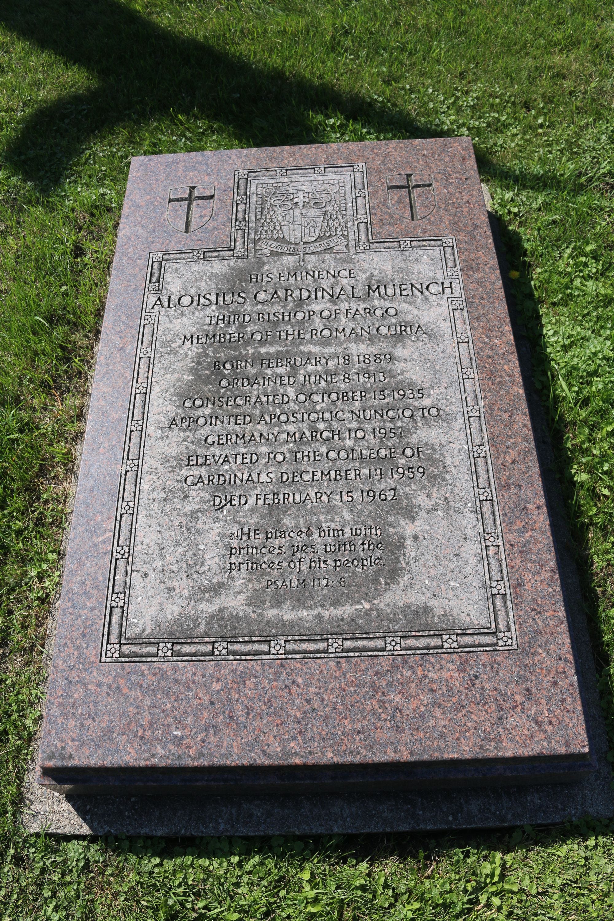 The story of the cardinal from Fargo - by Michelle La Rosa