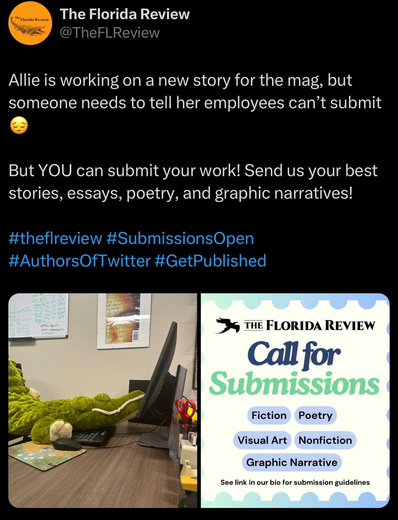 2024 in (The Florida) Review - The Florida Review