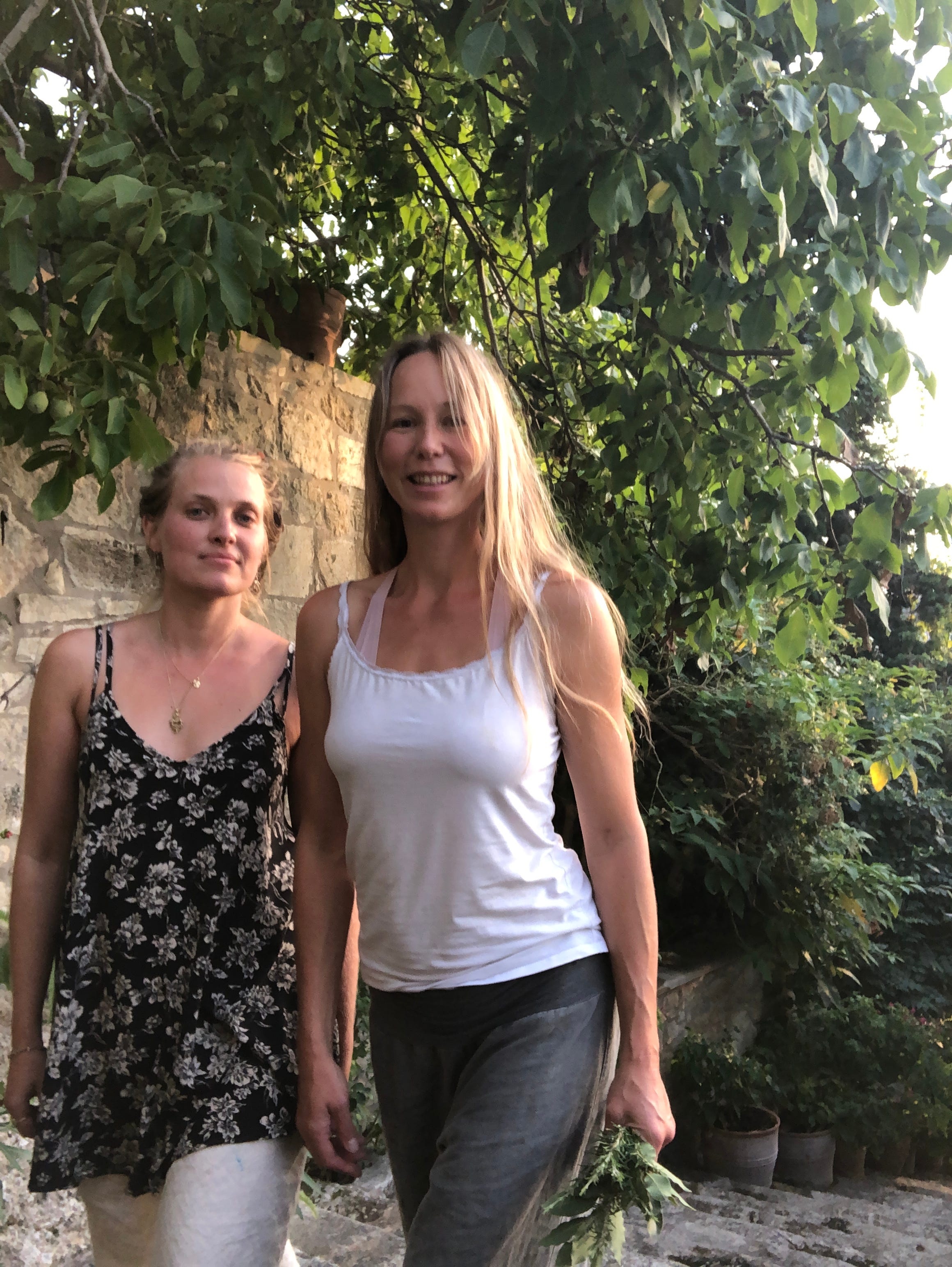 A Season of Swans - by Sylvia V. Linsteadt