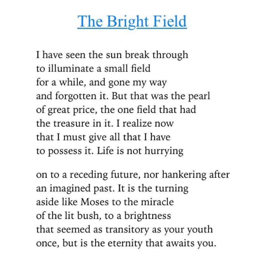 Poems for Your Weekend - by Maya C. Popa - Poetry Today