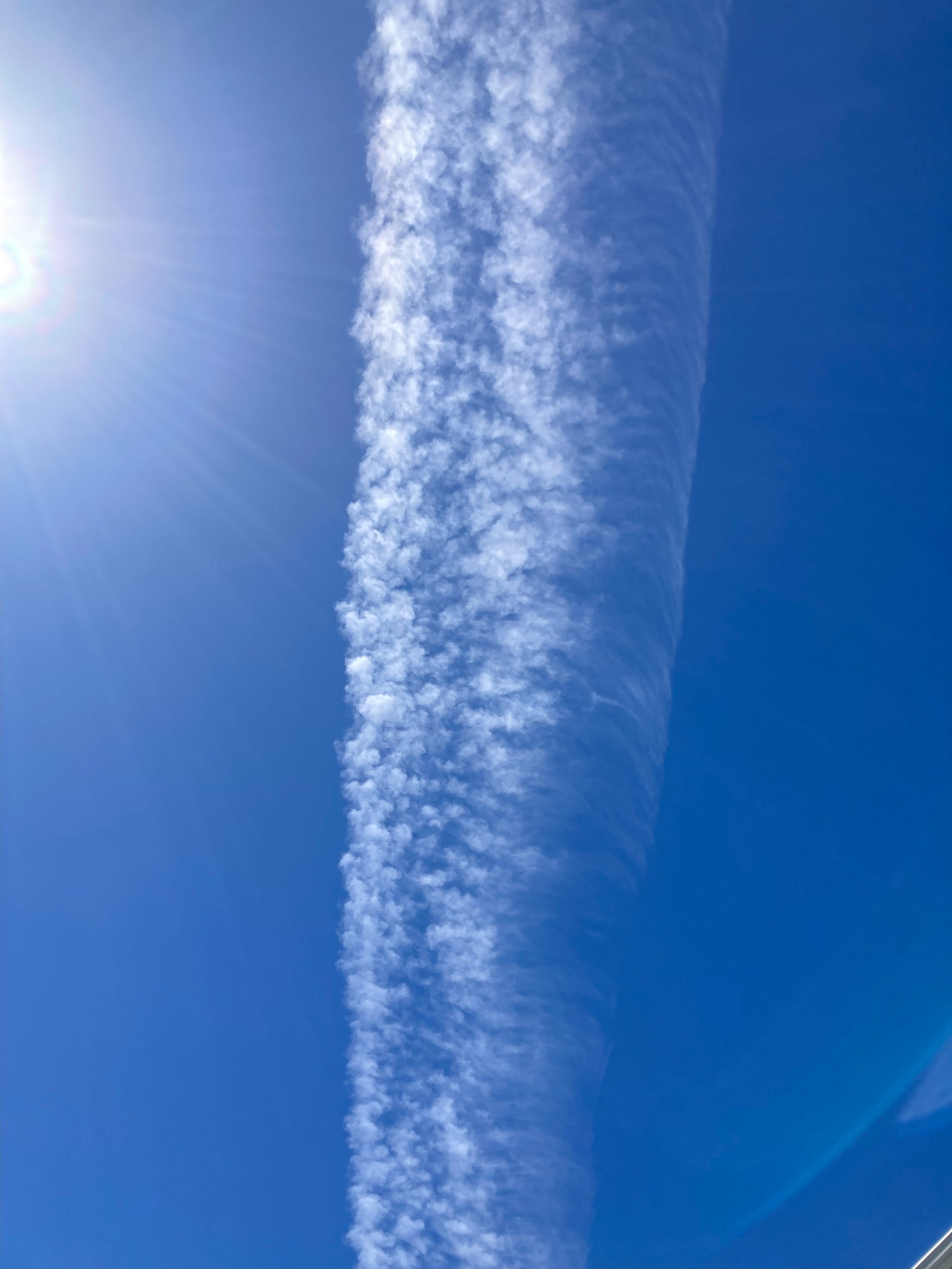 Thieves of the blue sky - Dr. Pierre Kory