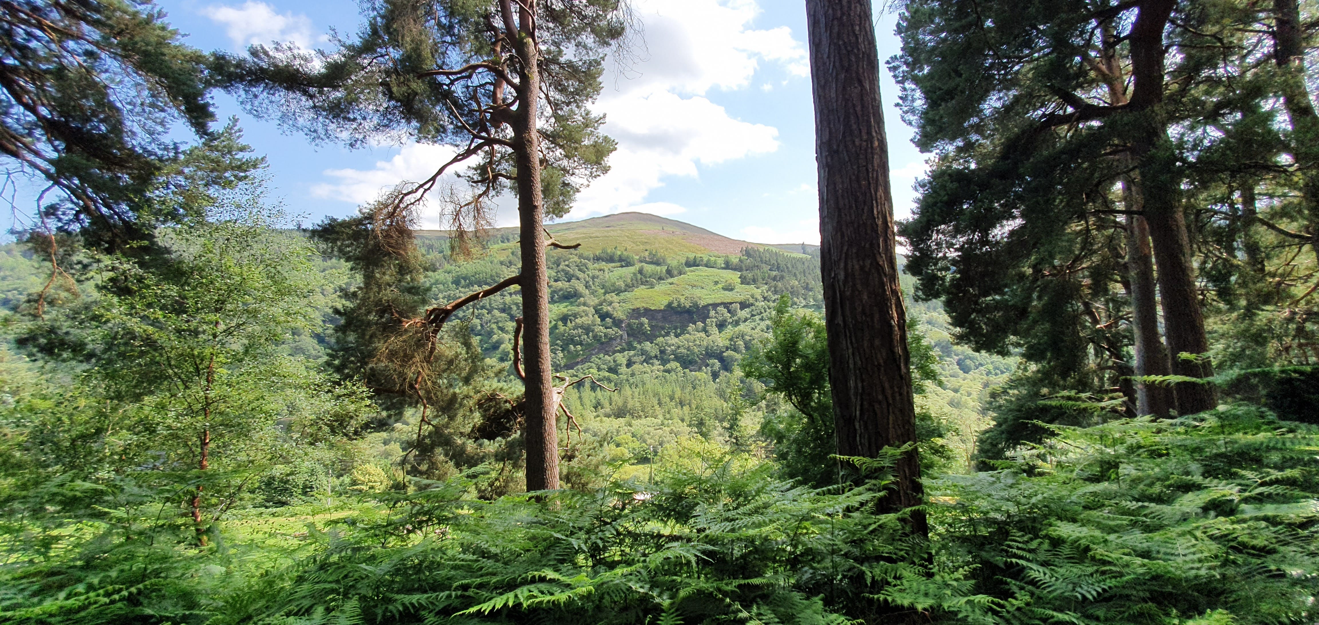 The power of the outdoors. - by Terry Power