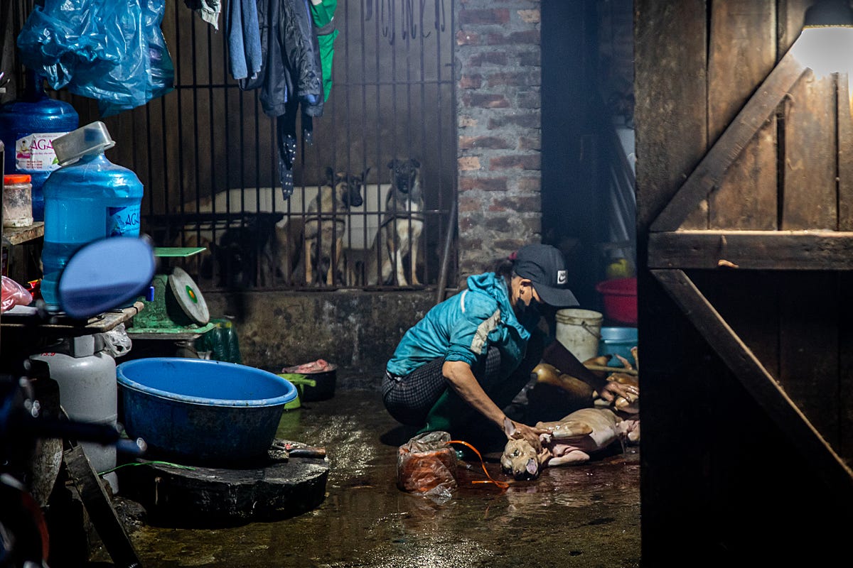 An Environmental Photojournalist Reveals the Brutal Reality of Vietnam ...