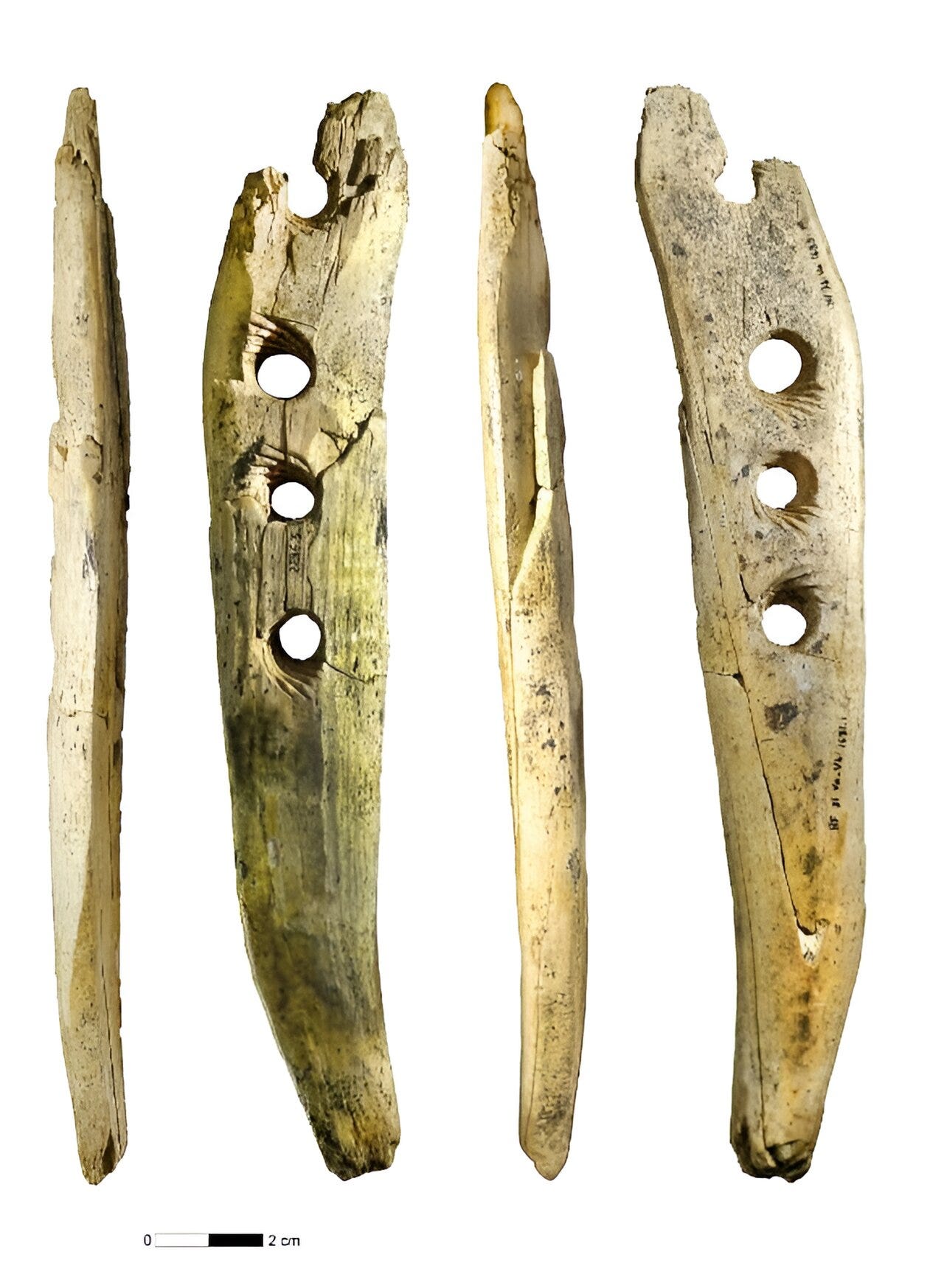 Unraveling the Past: Ancient Ivory Baton Reveals Surprising Purpose in ...