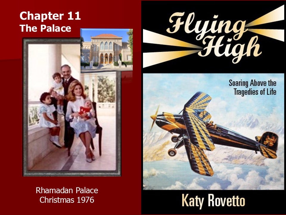 Flying High Chapter 11 - The Palace - by Katy Rovetto