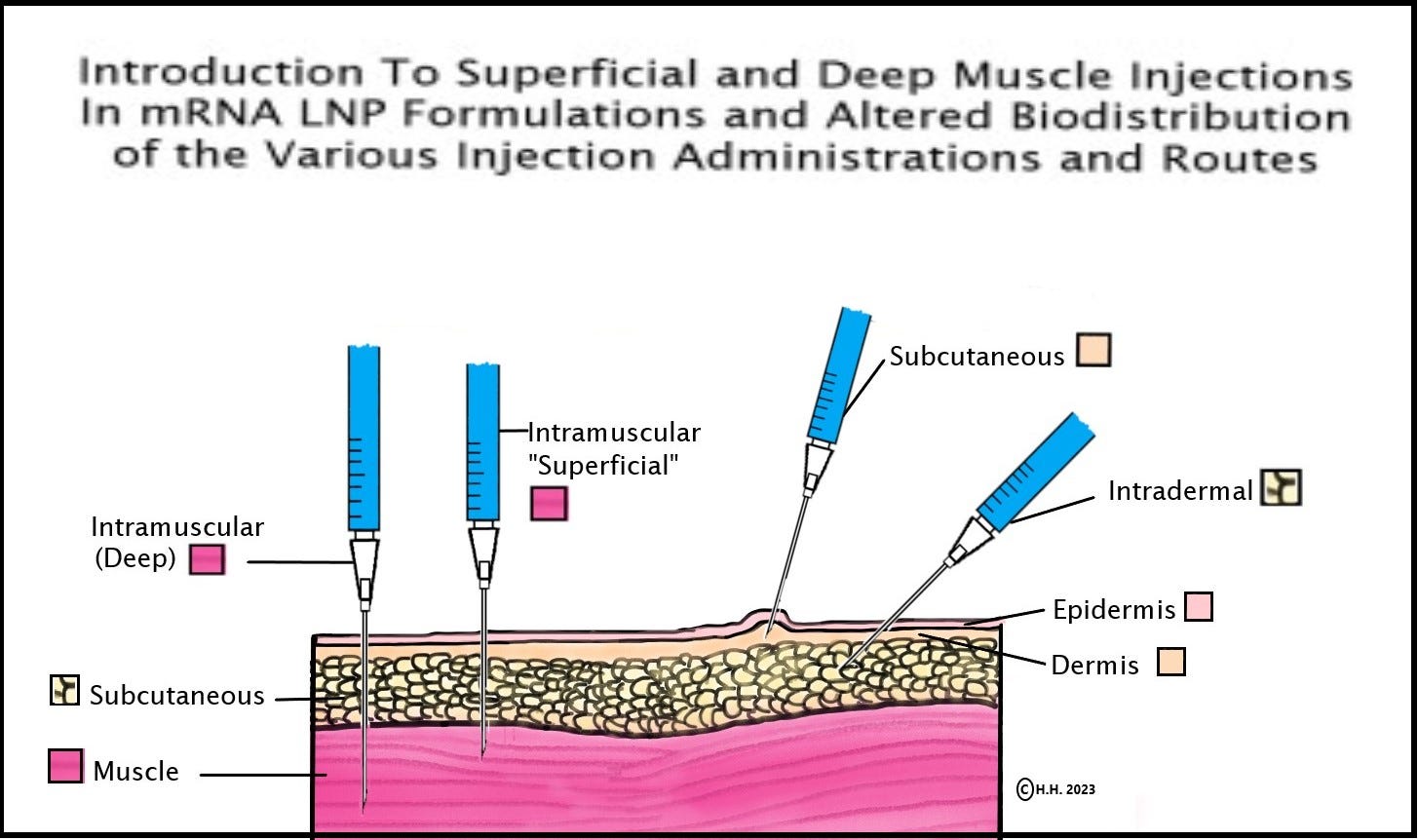 Kariko and Weissman Study 2015: They discovered LNP/mRNA injection used ...