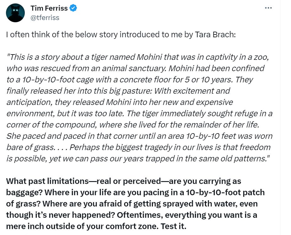 Corta el ancla - by Beatriz Calvo - Beatriz’s Substack