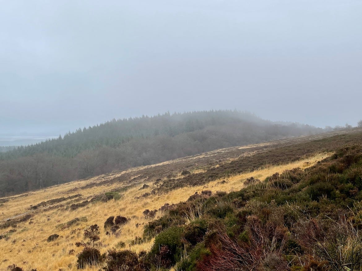 Folk Radio Insider - January 2023 - by Alex Gallacher