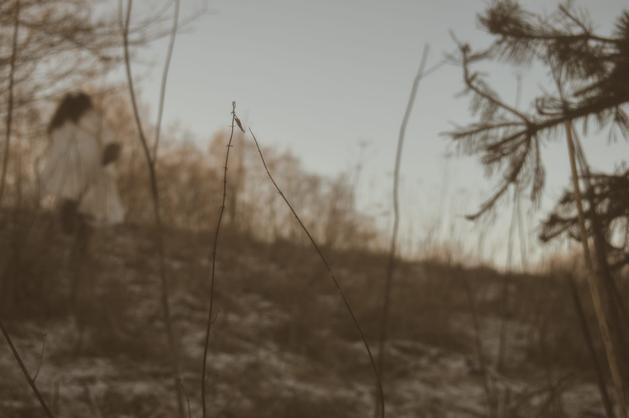 when i'm not writing... - Selkie Grove