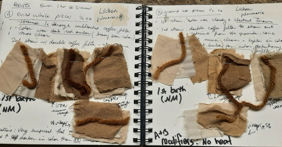 Dyeing with Lichen?!? - by Paige St-Pierre