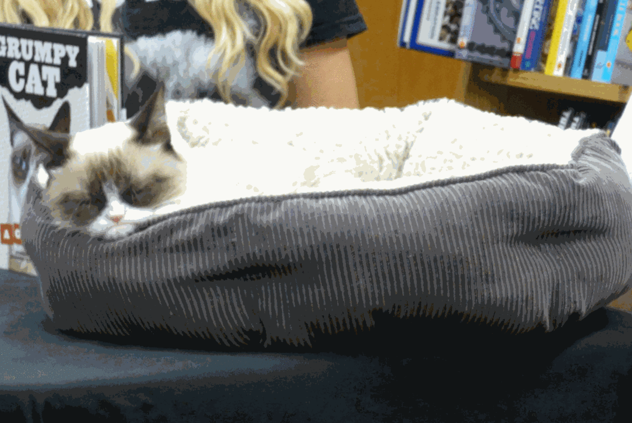 Back Scratching Tumblr Gif