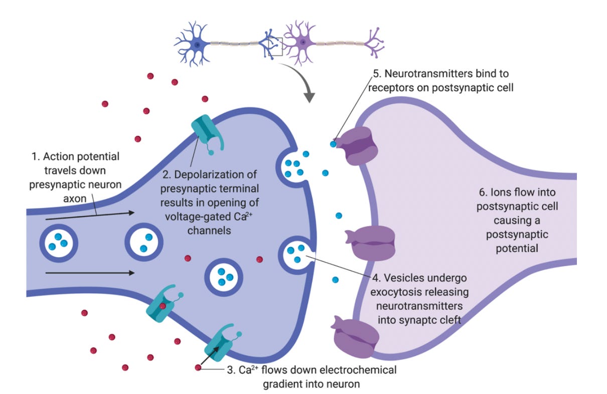Biohacker's Advanced Guide to Supplementing Magnesium