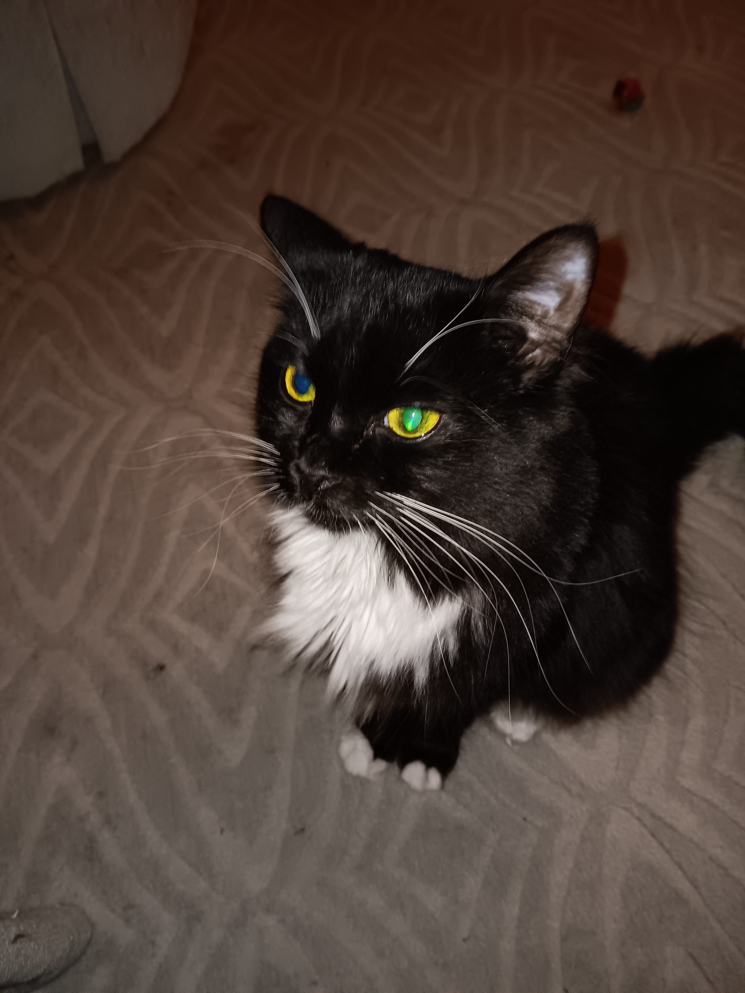 Milkshake - Kwami Ishmael