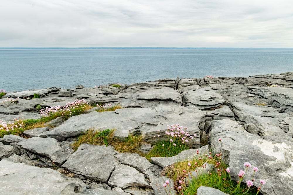Ireland’s Burren: A Stark Beauty in the Emerald Isle