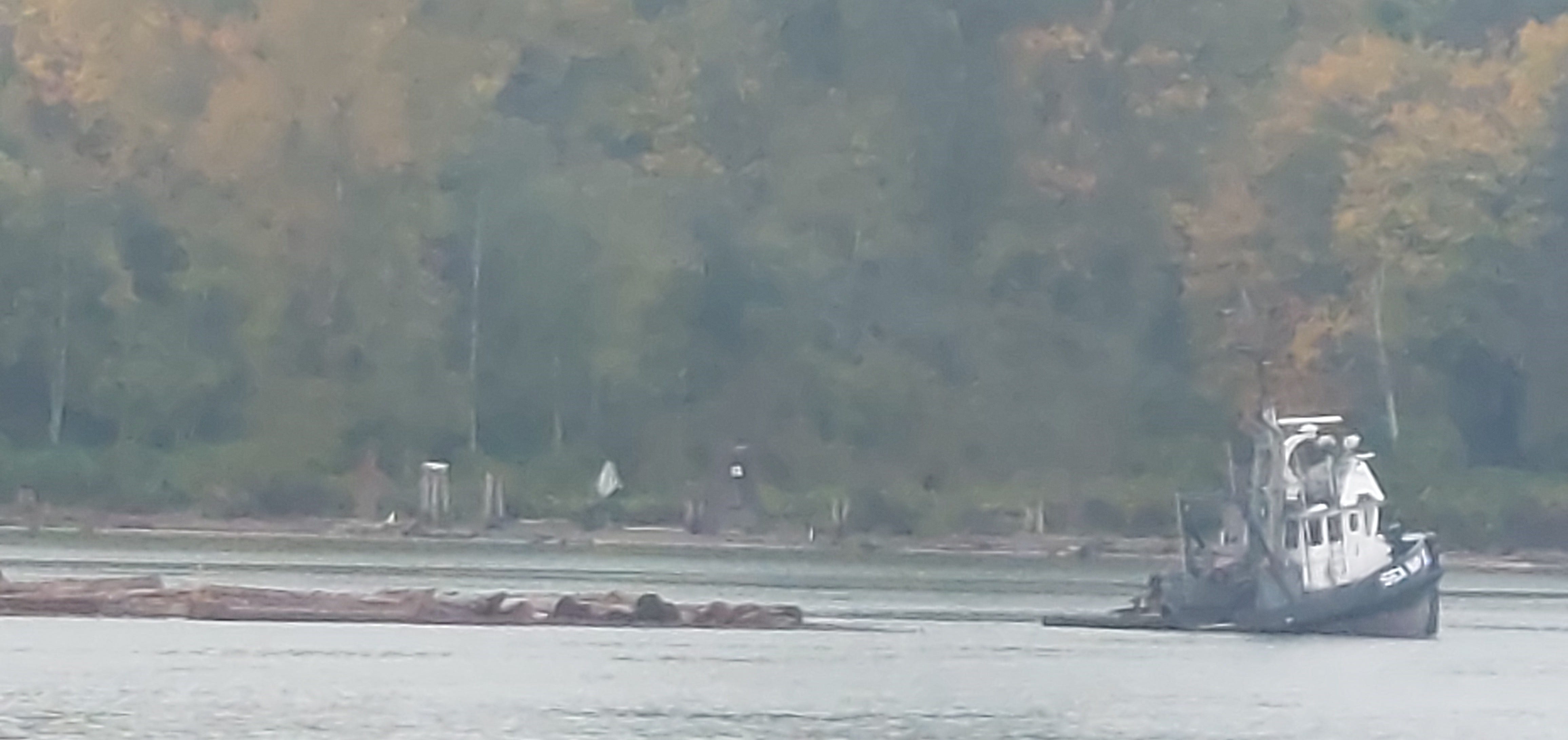 A Winter's Dream - by Bernie - Practical Managers' Substack