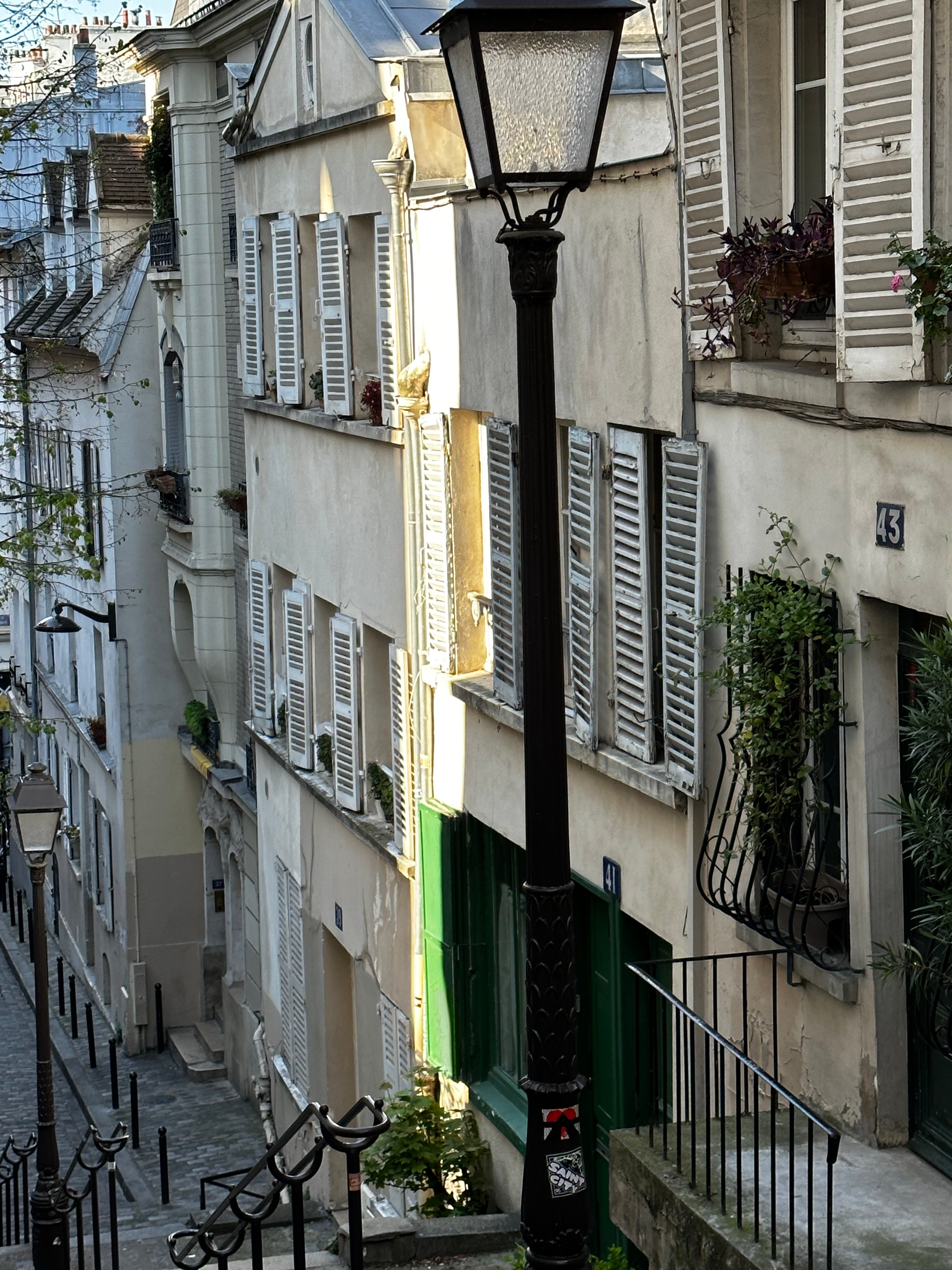 August Newsletter - by Cara Black - Cara’s Substack