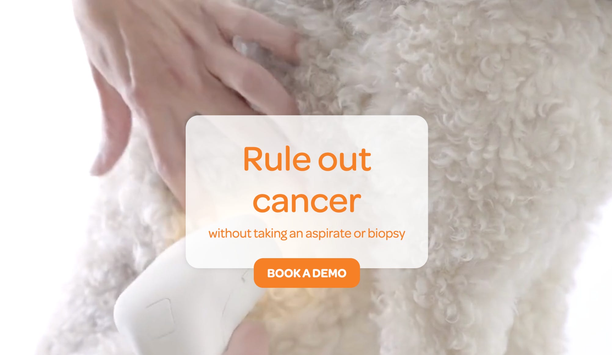 Can A Heat Scan Rule Out Cancer? - by Eric Fish, DVM, PhD