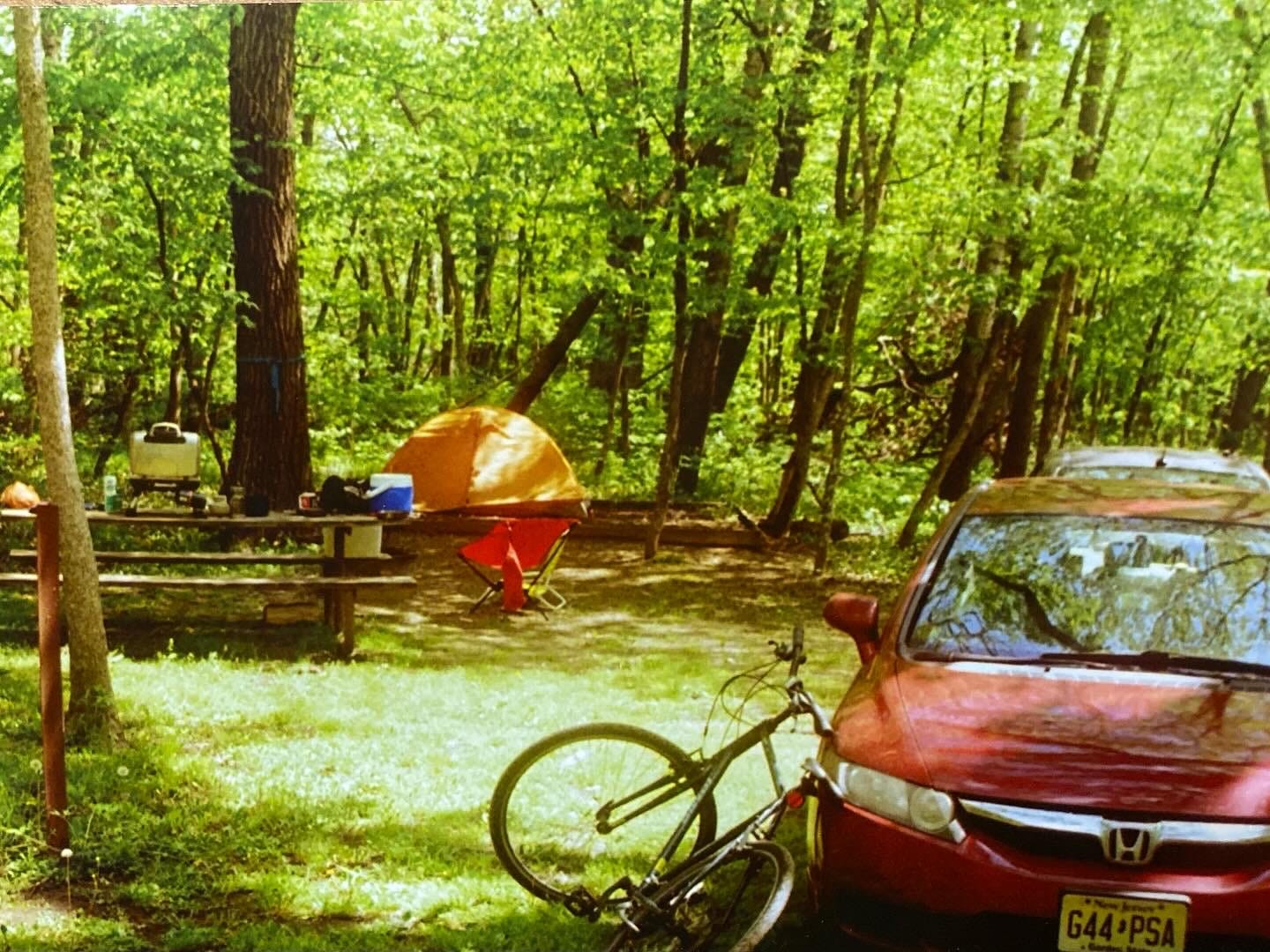 eating stories: midsummer memo, 2024 - by Josh Steen