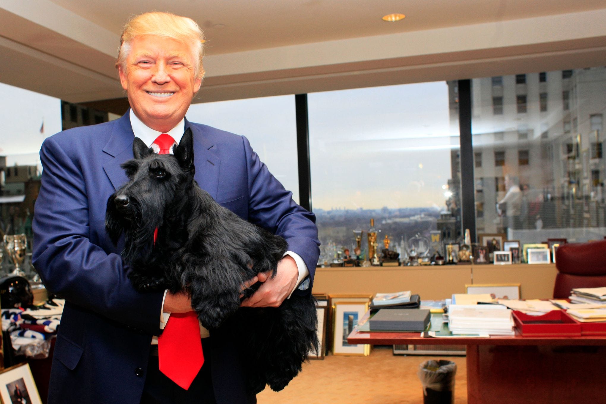 How To Stop Trump From Killing Dogs - by Wayne Hsiung