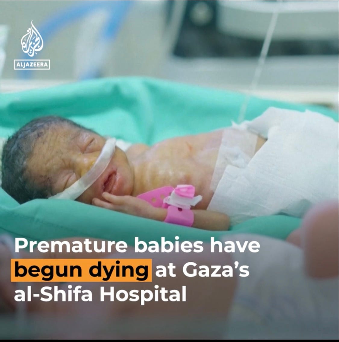 39 - by Gemma Hughes - Gemma’s Substack