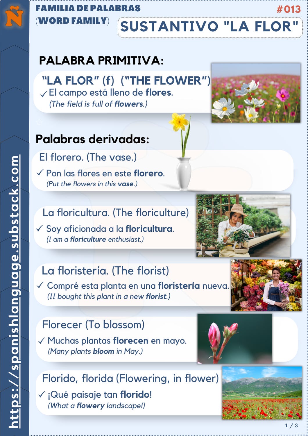 Imágenes De Palabras De Familia