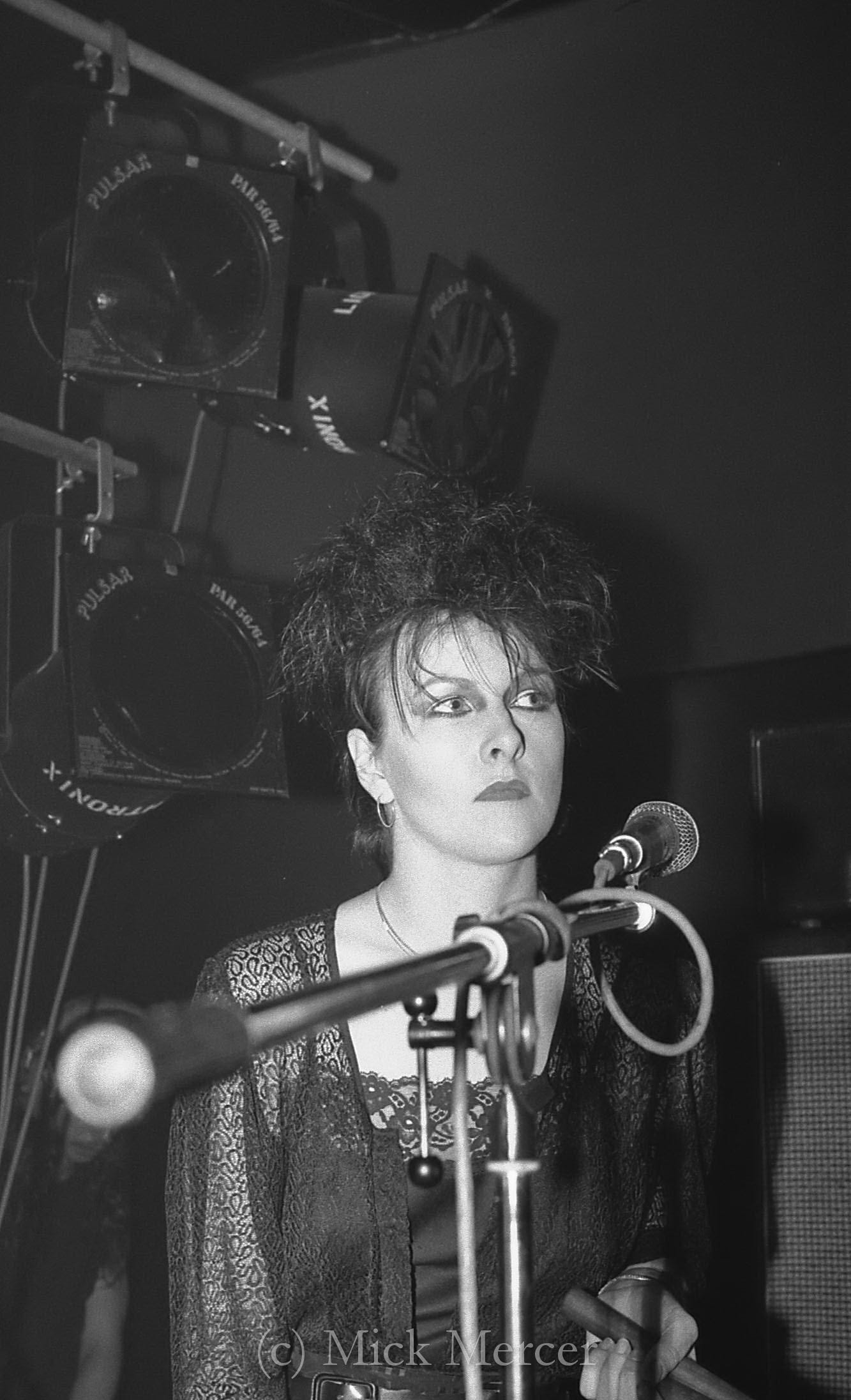 Book info and more - Mick Mercer's Panache