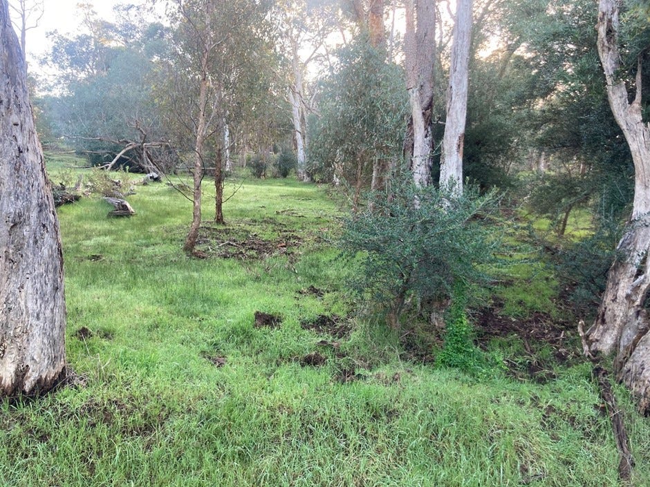 Hiking with Horror - by Troy Church - Troy’s Substack