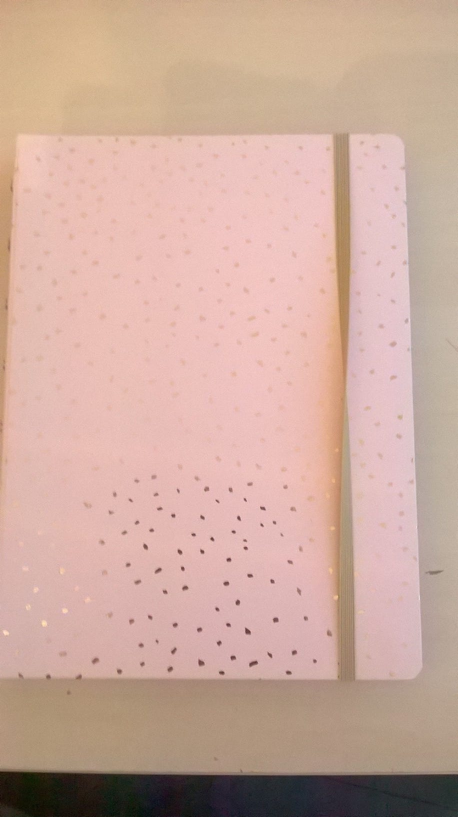 At Last I have A Use For The Pink Filofax Notebook.....Let's Party