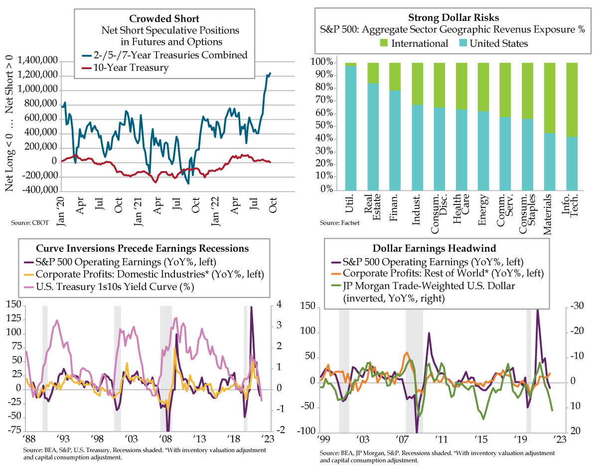 Shorty George - by Virginia Hassell - The Daily Feather