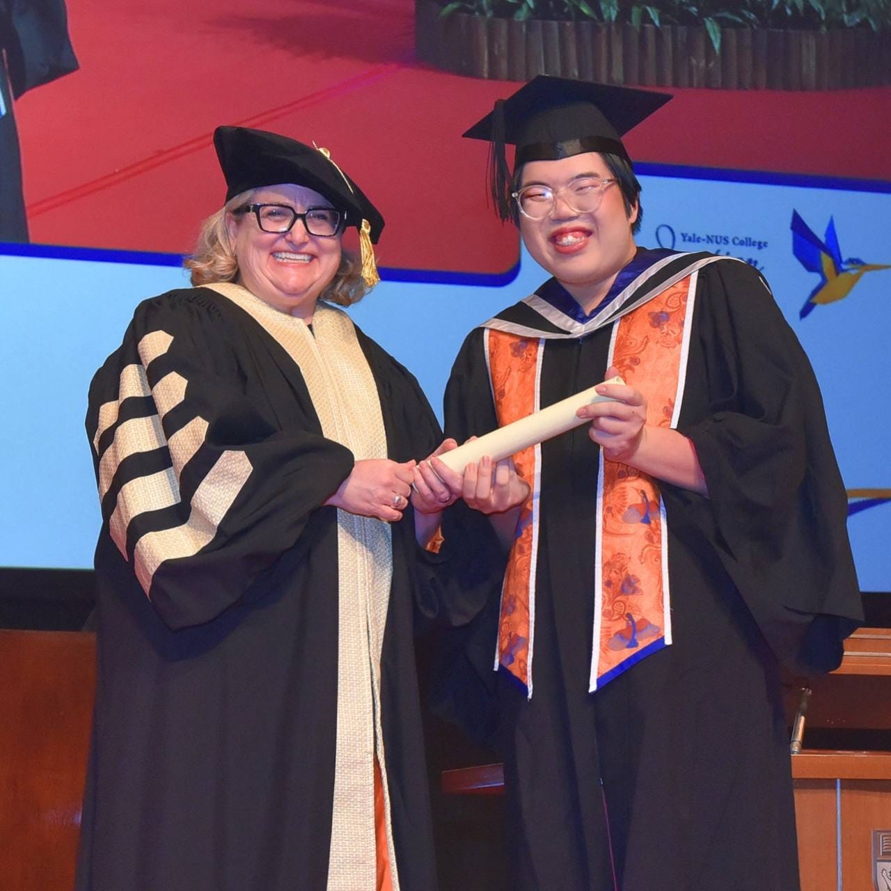 Why I 'wasted' 4 years studying a 'useless' degree: 3 Craft Lessons ...