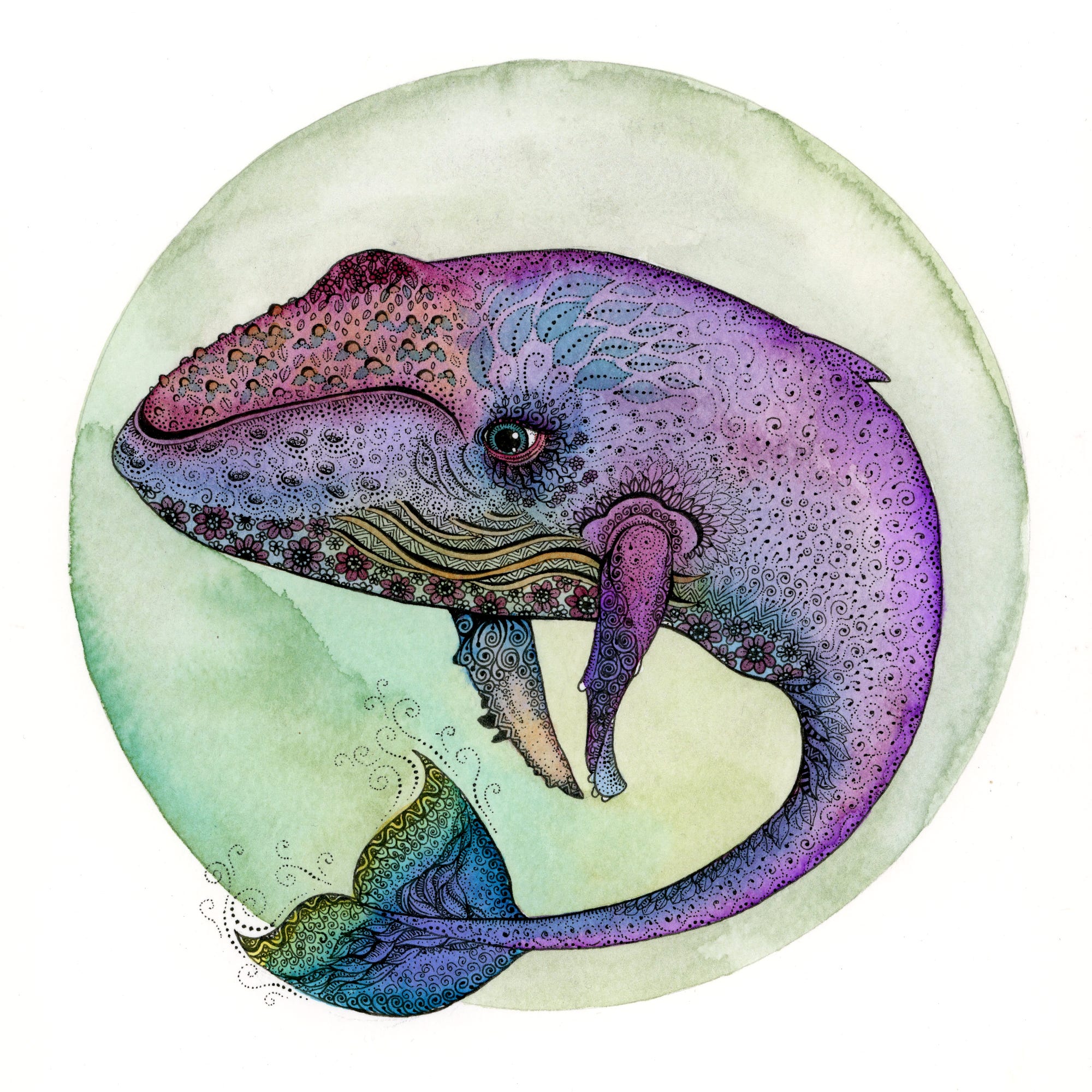 Humpback Whale - by Zinia King - Zinia’s Substack