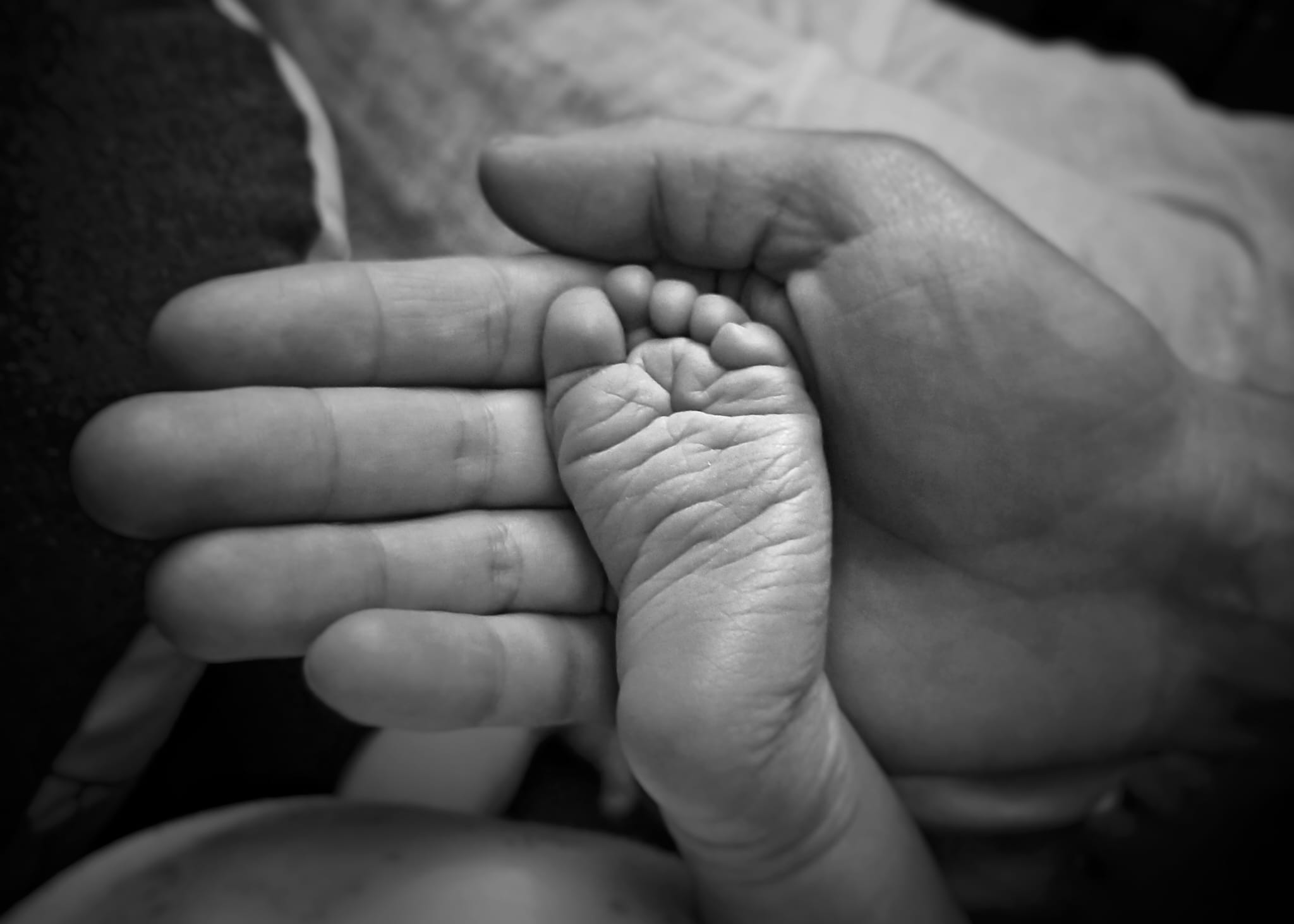 SLC : La clé d'un produit réussi - by Romain Maltrud