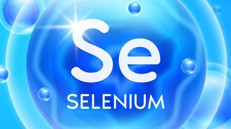 The Importance of Selenium for Health and Disease Prevention