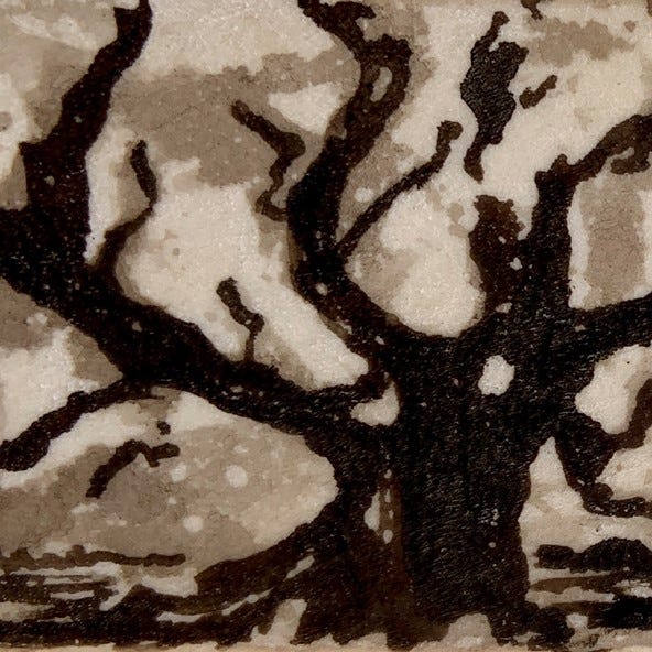 Caroline Ross | Substack