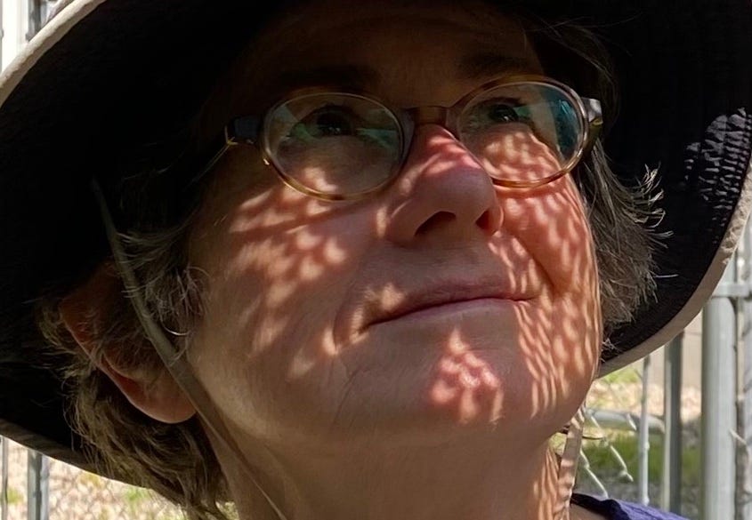 Elizabeth Brownrigg | Substack