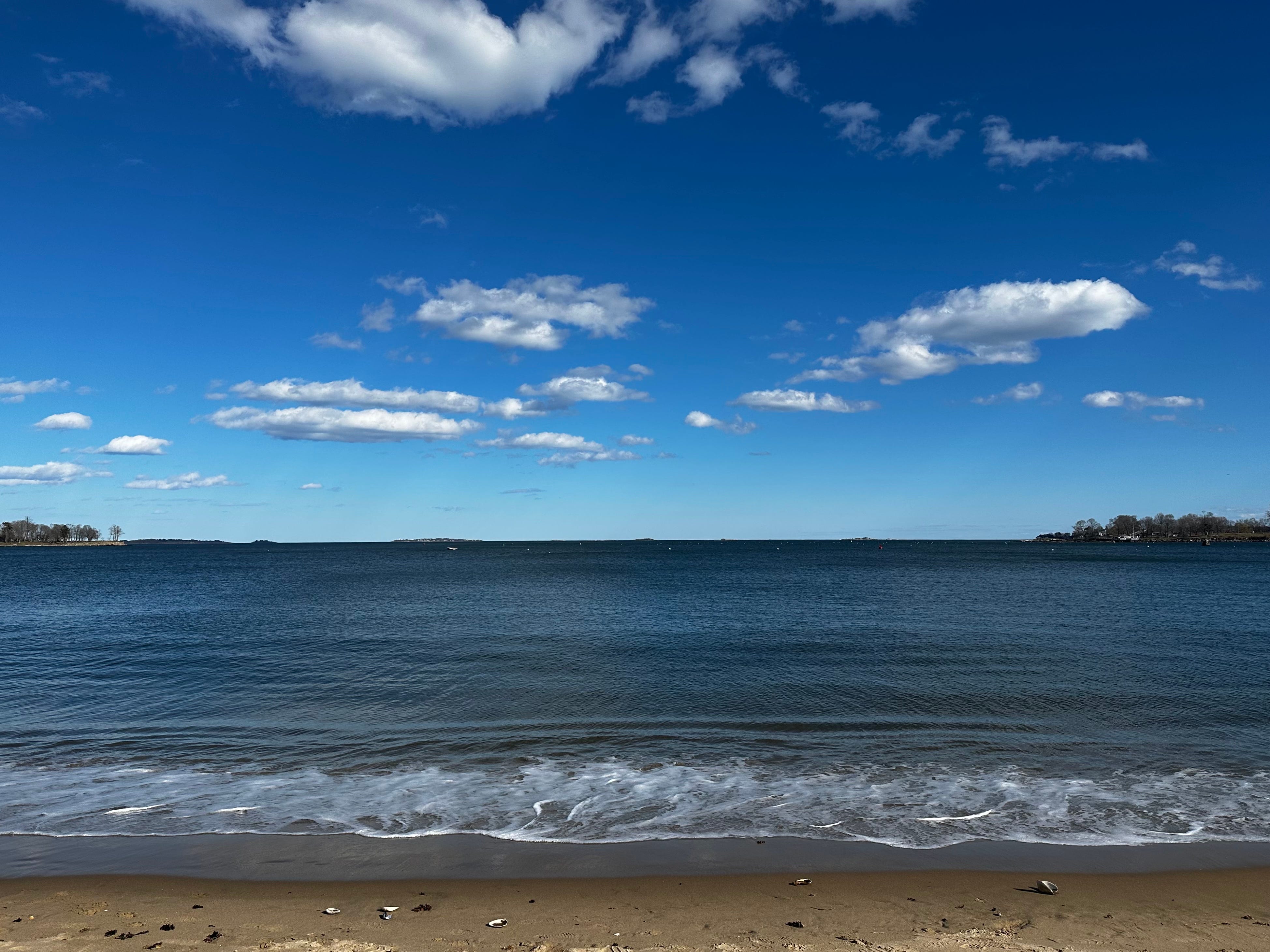 Weekly Buzz | Land Use Committee Looks to the Future