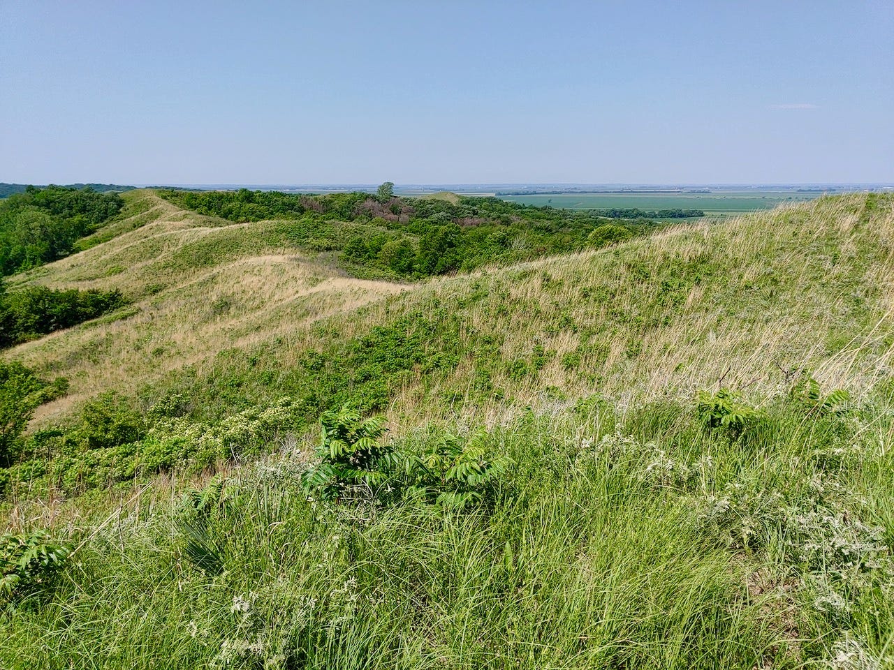 Loess Hills Connections - by Larry Stone